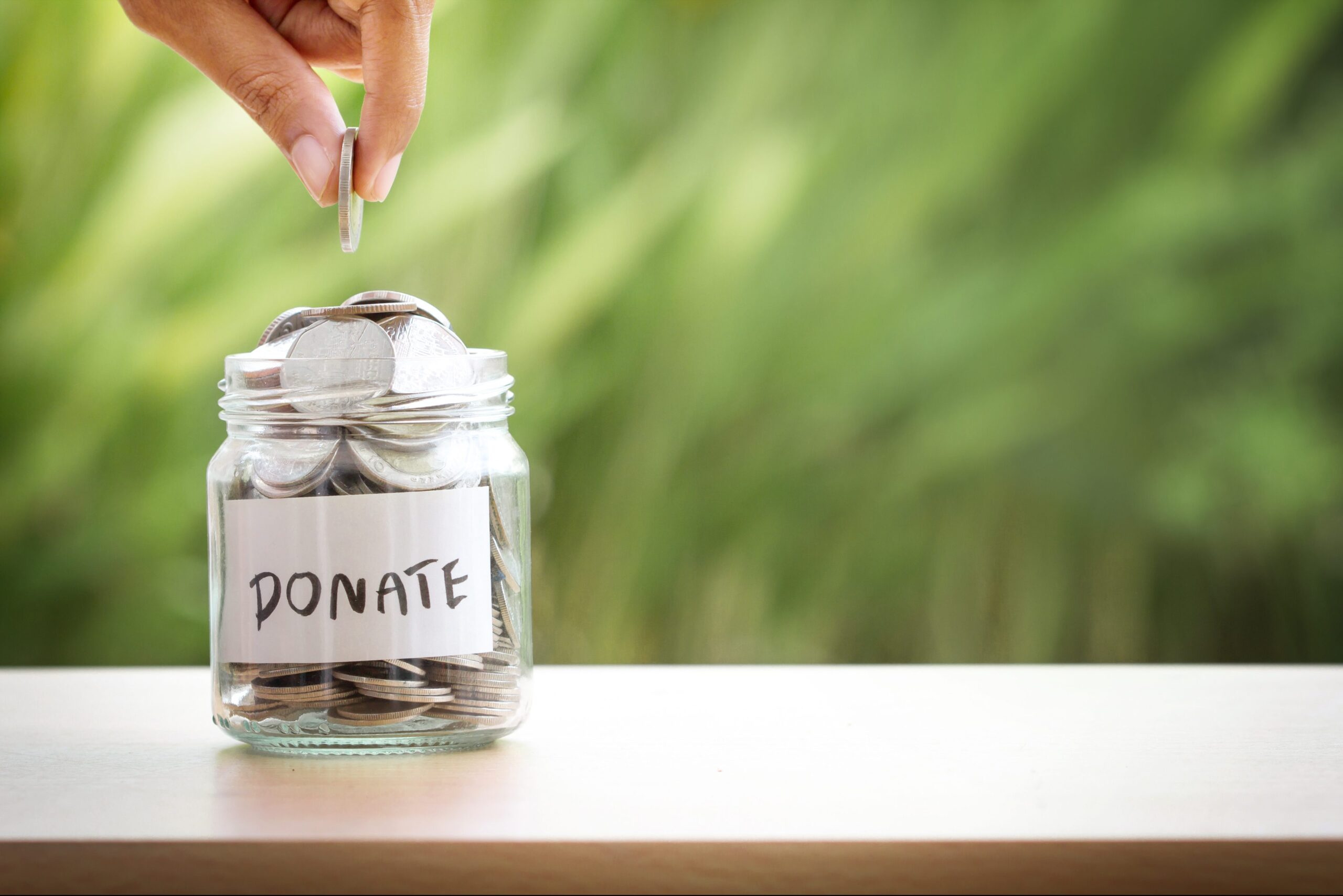 Make a Donation